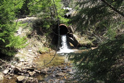 Unique Train Trip Highlights Restoration In The Upper Shavers Fork