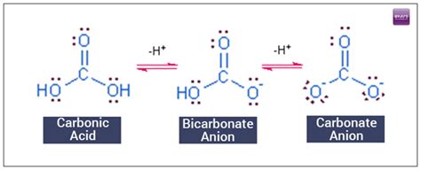 Bicarbonates Structure Uses Health Effects Of Bicarbonates With Faqs
