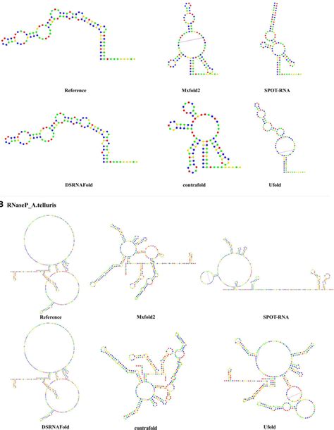 深度学习与结构上下文分析融合的rna二级结构预测方法dsrnafold 生物通