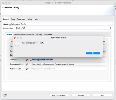 How To Authenticate Salesforce Using Jwt From Mulesoft Pantherschools