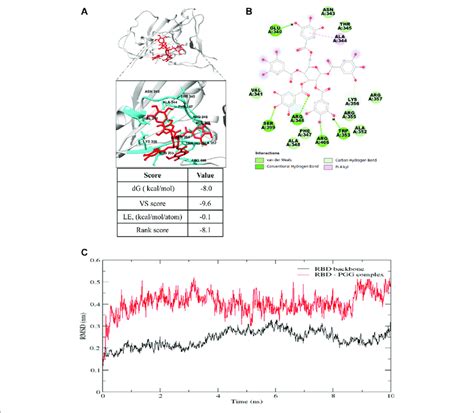 Computational Docking Prediction Of 12346 Pentagalloyl Glucose