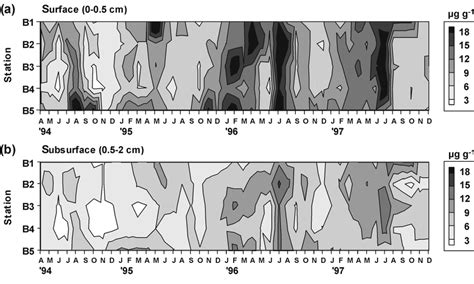 Spatial And Temporal Distribution Of Microphytobenthos Biomass Chl A Download Scientific