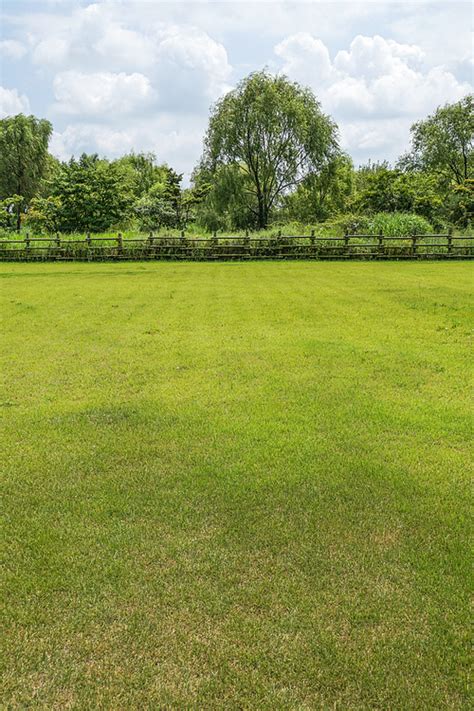 유토이미지 들판배경 포스터용 들판