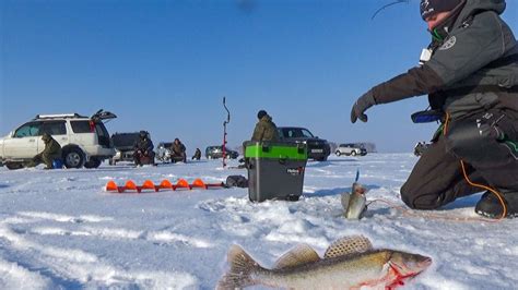 СУДАК ХВАТАЛ НА ВСЁ И У ВСЕХ РЫБАЛКА НА СУДАКА С ТОЛПОЙ в низовьях водохранилища Рыбалка в