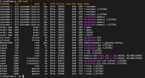 Quick Lsof Command Examples For Linux Geeks