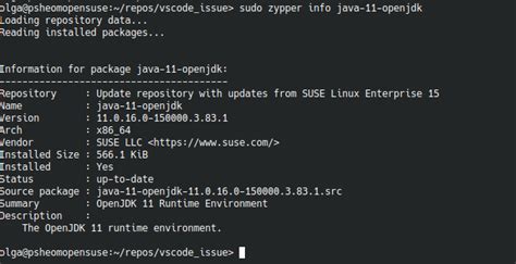 Java Projects Arent Imported To Ide After Update · Issue 2698 · Redhat Developervscode Java