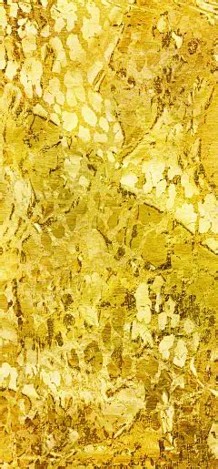 Curtisdavid 花瓣网