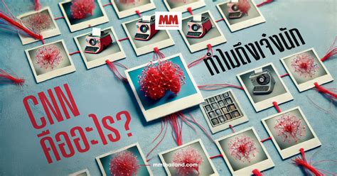 Cnn คืออะไร ทำไมถึงเจ๋งนัก