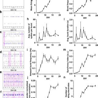 Neural Network Ontogeny Revealed By Microelectrode Array Af