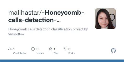 GitHub Malihastar Honeycomb Cells Detection Classification Project Honeycomb Cells Detection
