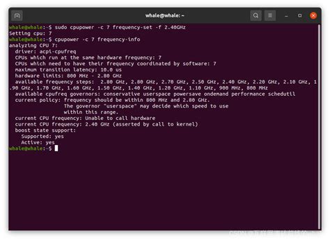 Ubuntu 20045 Lts安装cpupower，userspace模式下控制cpu频率及使用教程 Csdn博客