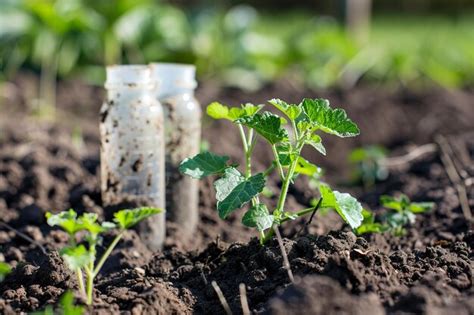 Analyzing Soil Microbial Activity With Respirometr Generative Ai