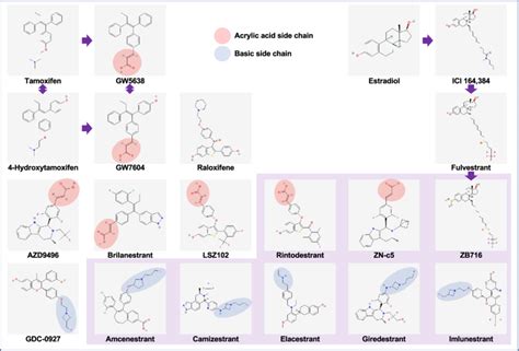 Chemical Structures Of Serds Gw5638 And Its Metabolite Gw7604 Are Download Scientific Diagram