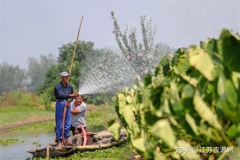 高温干旱是影响秋粮最大的威胁 知乎