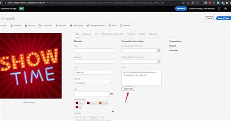 Aem Cloud Service Richtext Editor In Assets Metadata Edit Raem