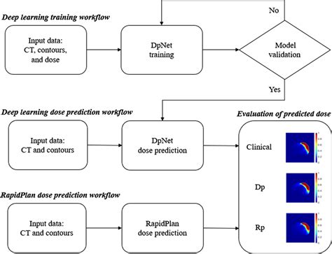 Flowchart Showing The Deep Learning Dose Prediction Dp And Rapid Plan