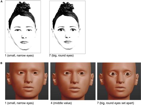 Attractiveness Scale