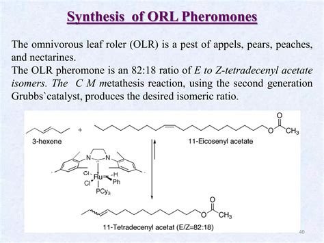 Metathesis Pptx