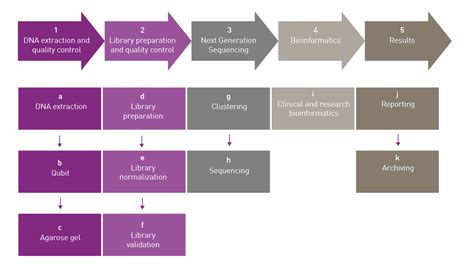 Ngs Workflow Steps Illumina Sequencing Workflow