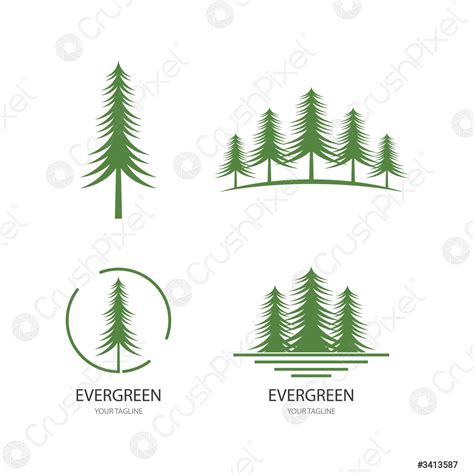 Cedar Tree Stock Vector 3413587 Crushpixel