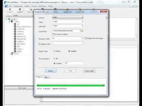 Batch Update PostgreSQL TEXT CLOB Field Data From Files YouTube