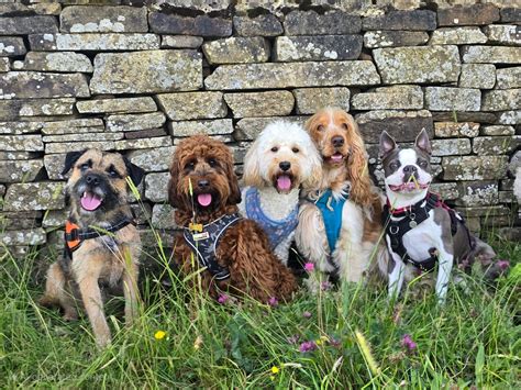 Coco And Barley Coco And Barley Added A New Photo