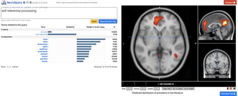 Meta Analysis Tutorial 3 Online Meta Analysis With Neurosynth And Neuroquery — Andys Brain