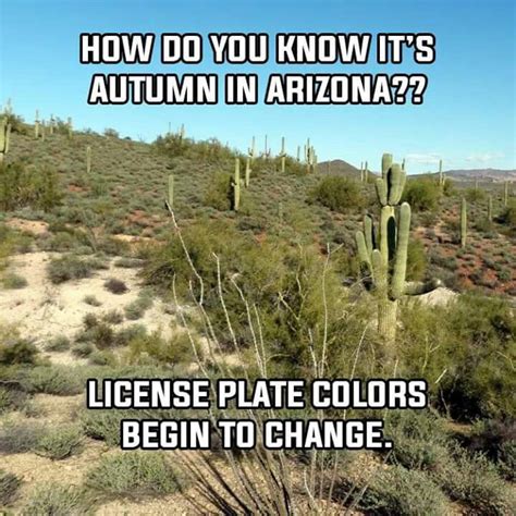 Weather Autumn Arizona Arizona Humor Scenery