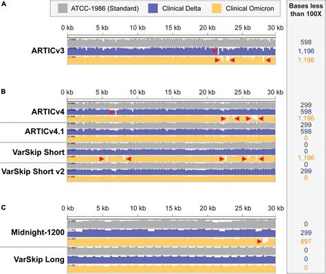 Frontiers Overcoming Variant Mutation Related Impacts On Viral Sequencing And Detection
