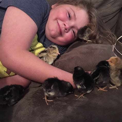 Nicks Chicks Wheelwright Ma