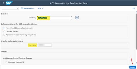 Access Control Management SAPCODES