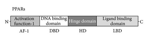 Schematic Structure Of Ppars Protein The Predicted Consensual Download Scientific Diagram