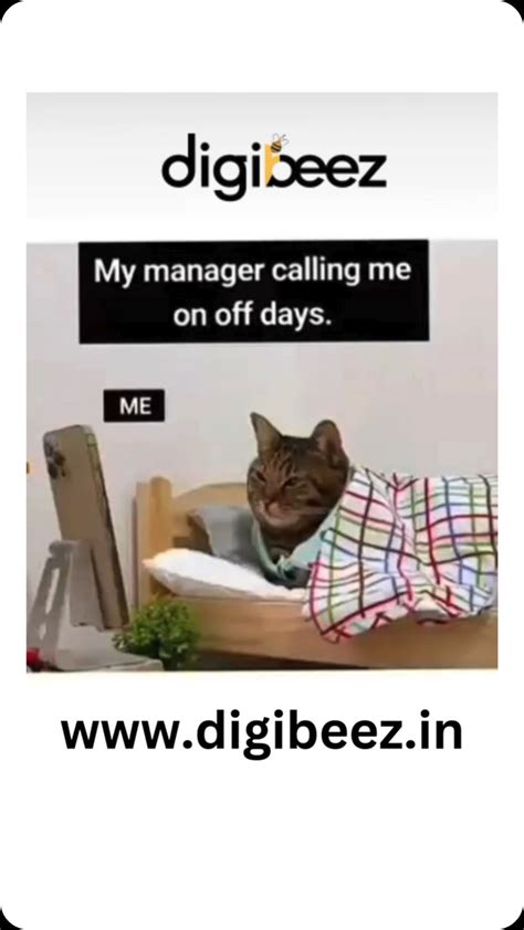 Digibeez Digibeez2021 • Instagram Photos And Videos