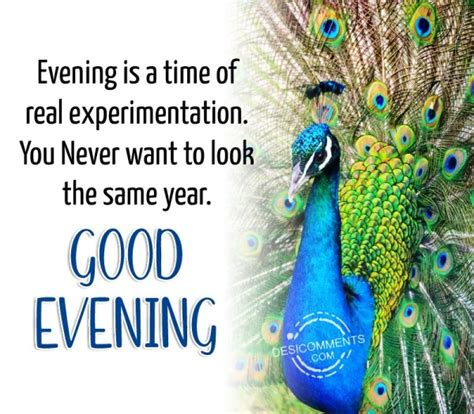 Evening Is A Time Of Real Desi Comments