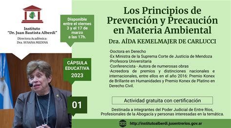 Los Principios De Prevención Y Precaución En Materia Ambiental Poder