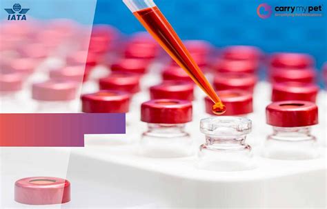 All About Titer Test We Live And Breathe In A World Where A… By