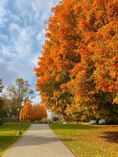 Best 12 Fall At Virginia Tech Artofit