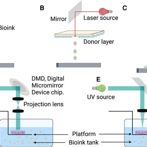 There Are Multiple Strategies Of 3d Bioprinting Including Inkjet Download Scientific Diagram