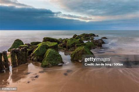 Huisduinen Photos And Premium High Res Pictures Getty Images