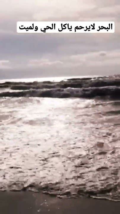 البحر لايرحم ياكل الحي ولميت Youtube