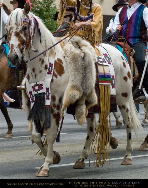 Native 7 By Salsolastock On Deviantart Native American Horses Indian