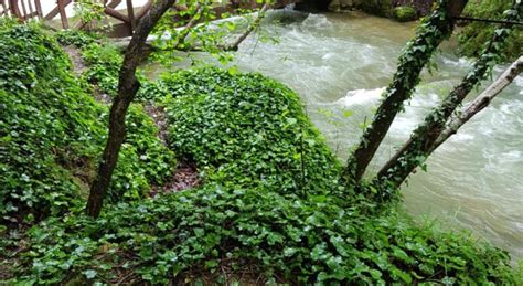 Guest House Lisinski Raj Strmosten Mulai Dari Rp 315041