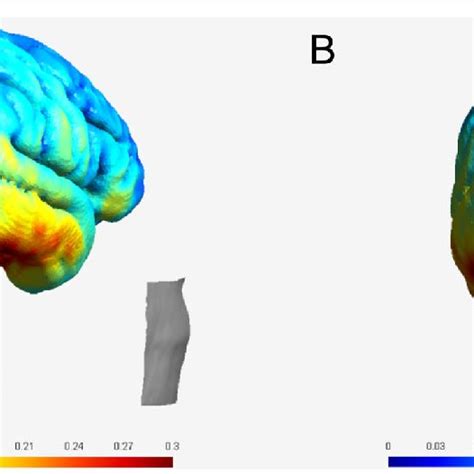 Modelling Results Of Cerebellar Tdcs Effects Distribution Of Normef Download Scientific