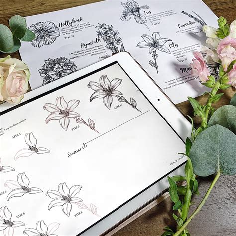 How To Draw Lilies 4 Step By Step Easy Drawing Tutorials For Different Lily Variations