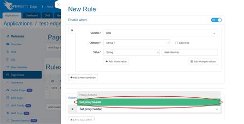 How To Pass The Real Client Ip Addresses To Backend Servers Via Special