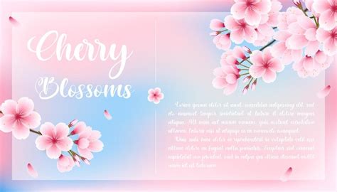 Square Cherry Blossom Template Greeting Card Background Premium Vector