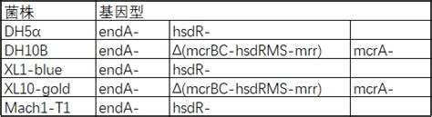 Bl21 De3 菌株转化效率低怎么办？ 知乎