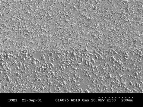 Sem Cross Section Of Ferrite B Bottom Interlayer B Top Interface Download Scientific Diagram