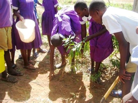 Tree Planting Ceremony Rural Extension With Africa S Poor