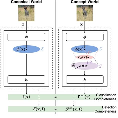 Our Two World View For Classifier And Detector Download Scientific Diagram